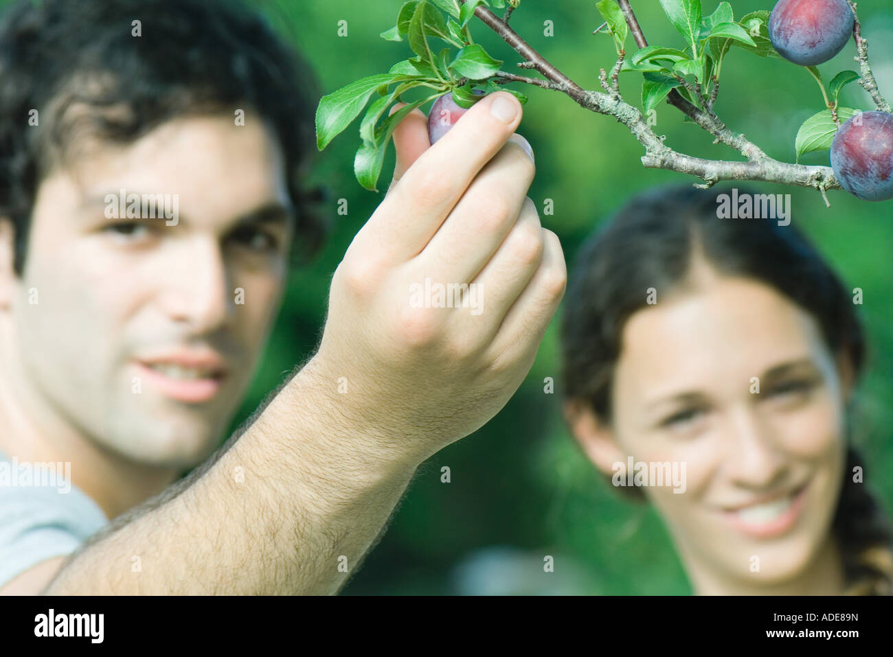 Man eating plum hi-res stock photography and images - Alamy