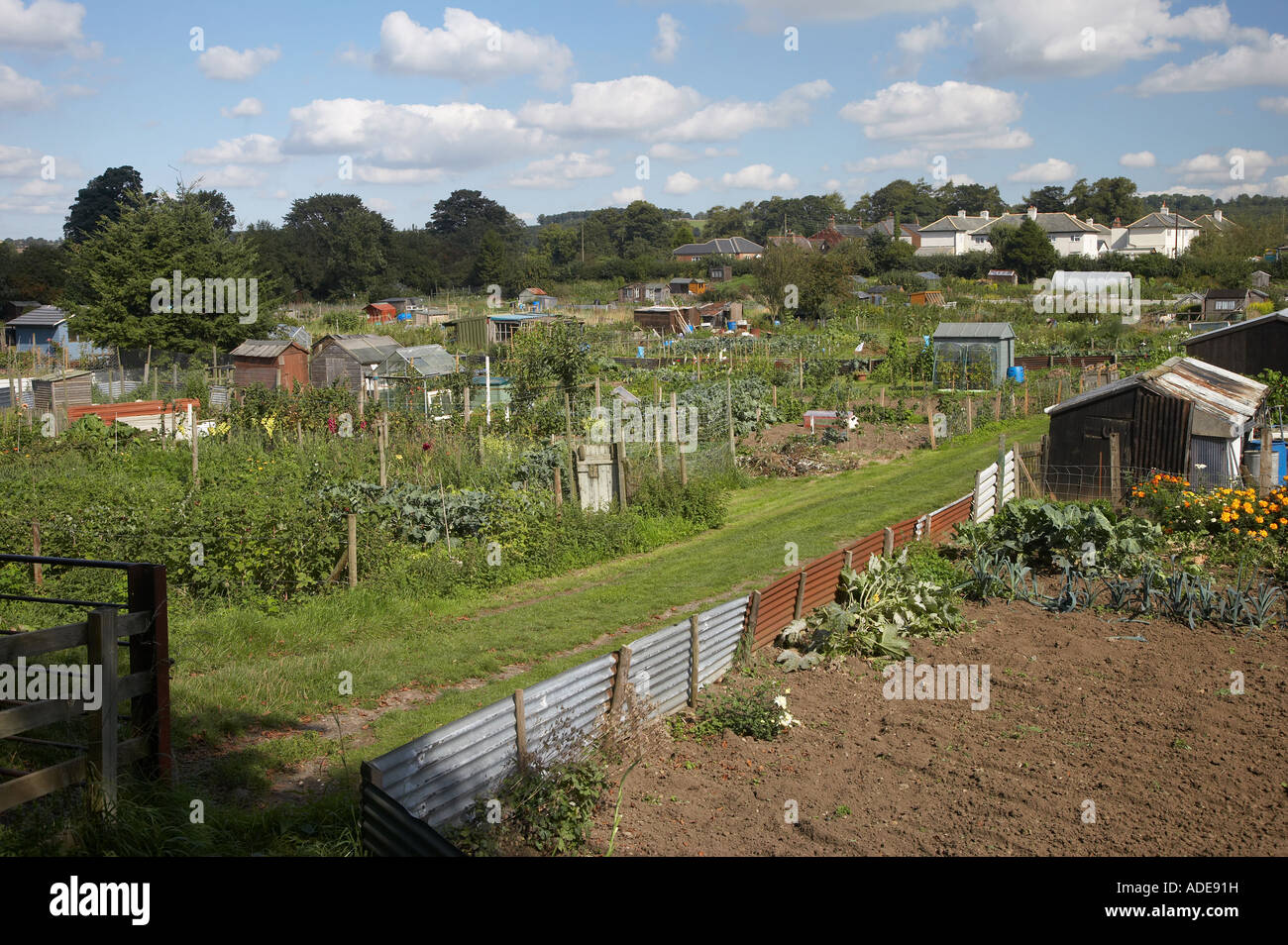 Allotments structures hi-res stock photography and images - Alamy
