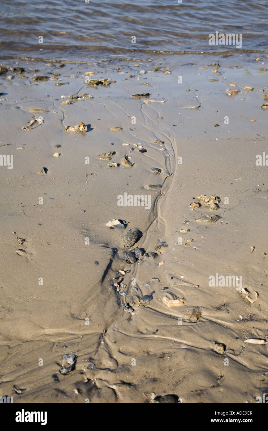Beach rivulets hi-res stock photography and images - Alamy
