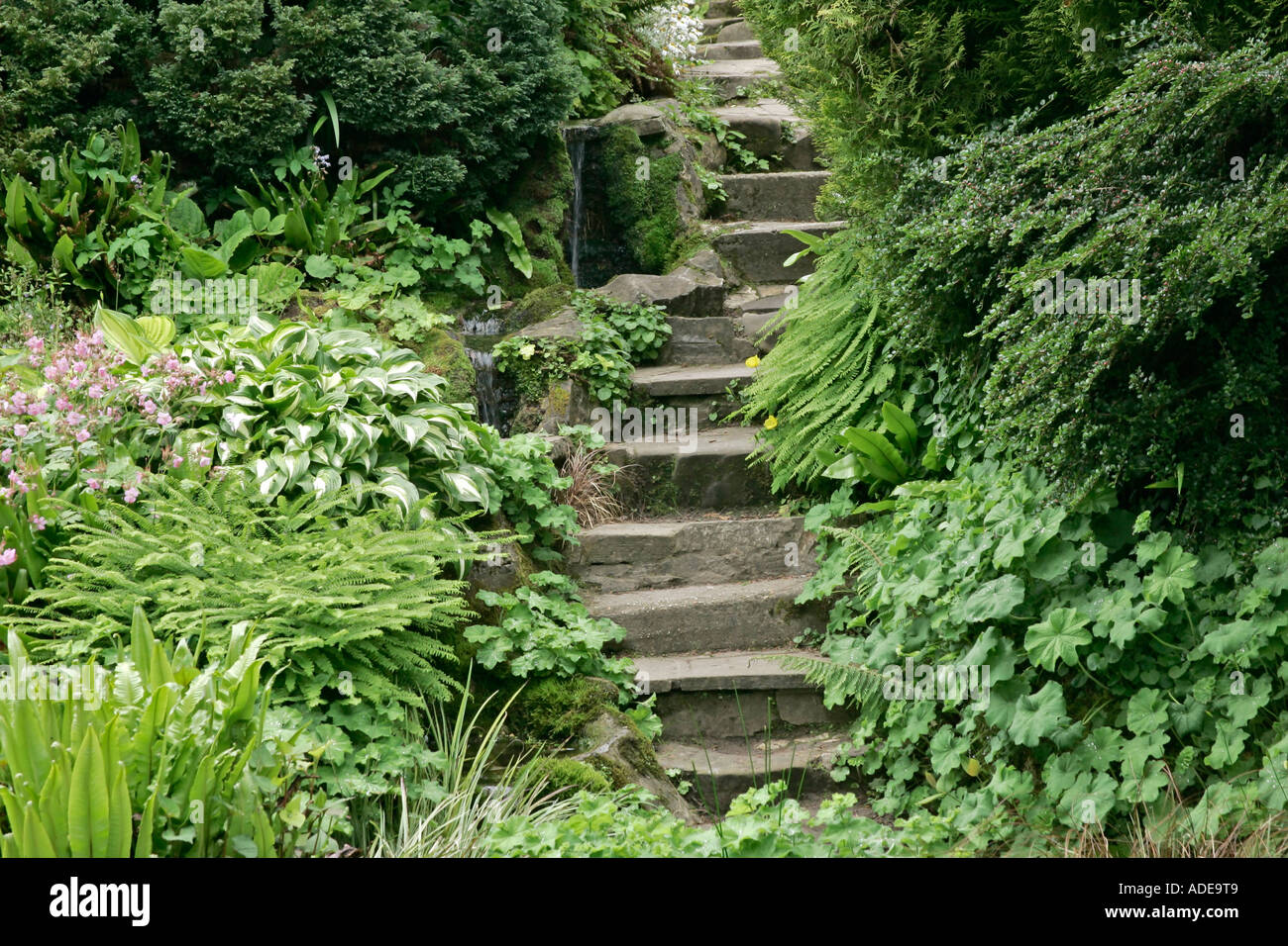 Rickety steps hi-res stock photography and images - Alamy