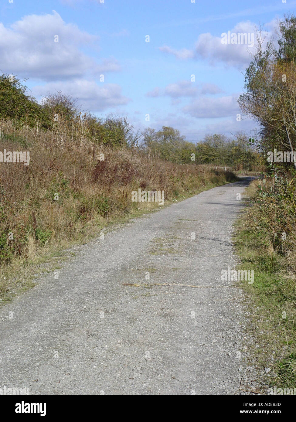 Path leading to the Gwent Levels Wetlands Nature Reserve near Newport ...
