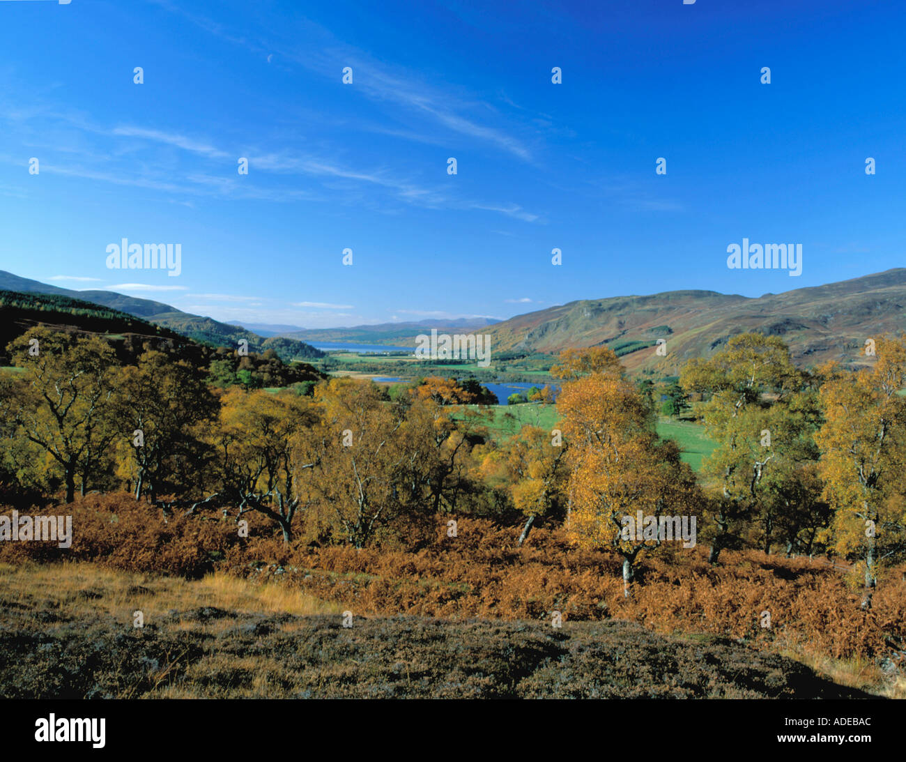 Tayside region hi-res stock photography and images - Alamy