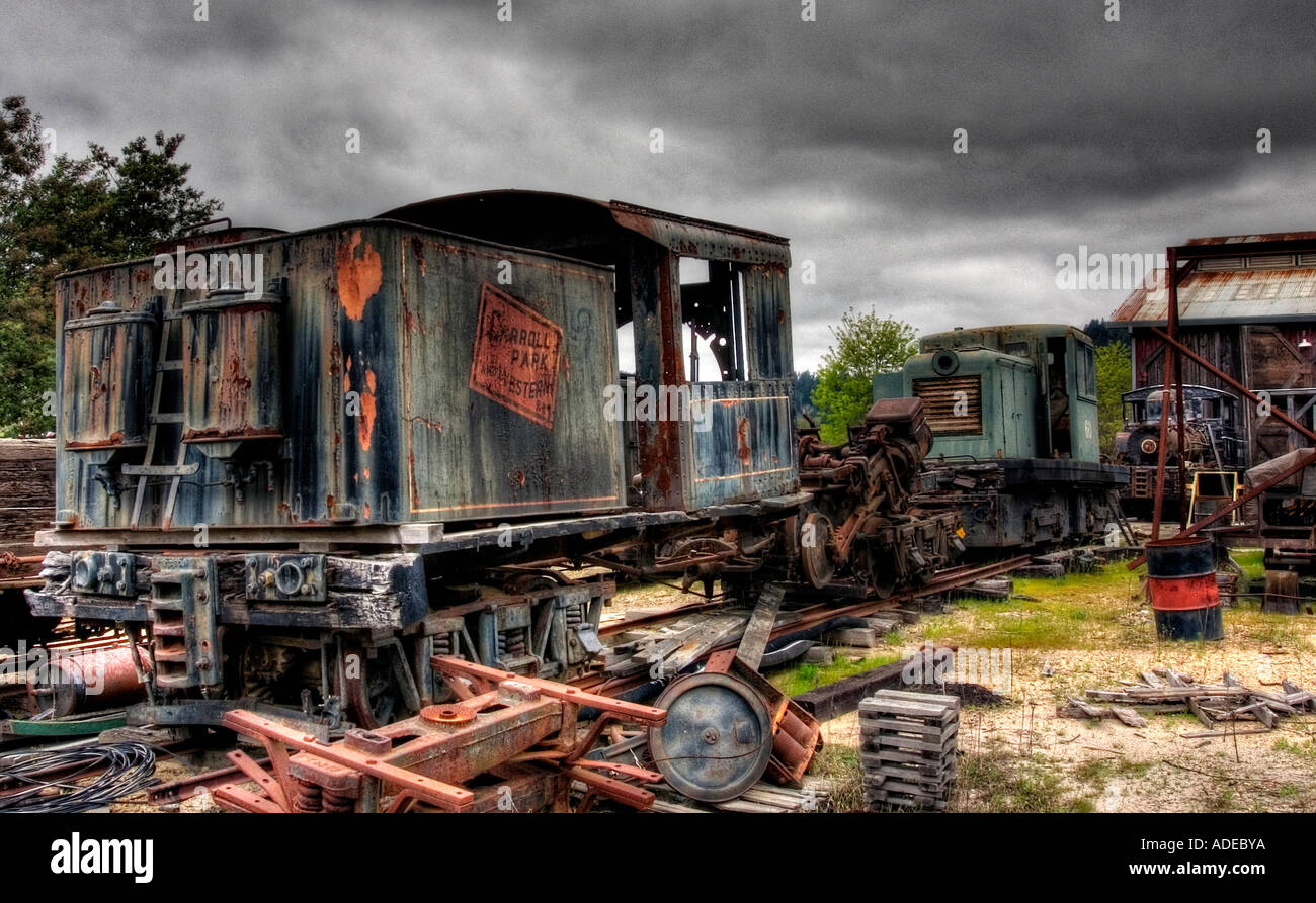 Roaring Camp Train Vip