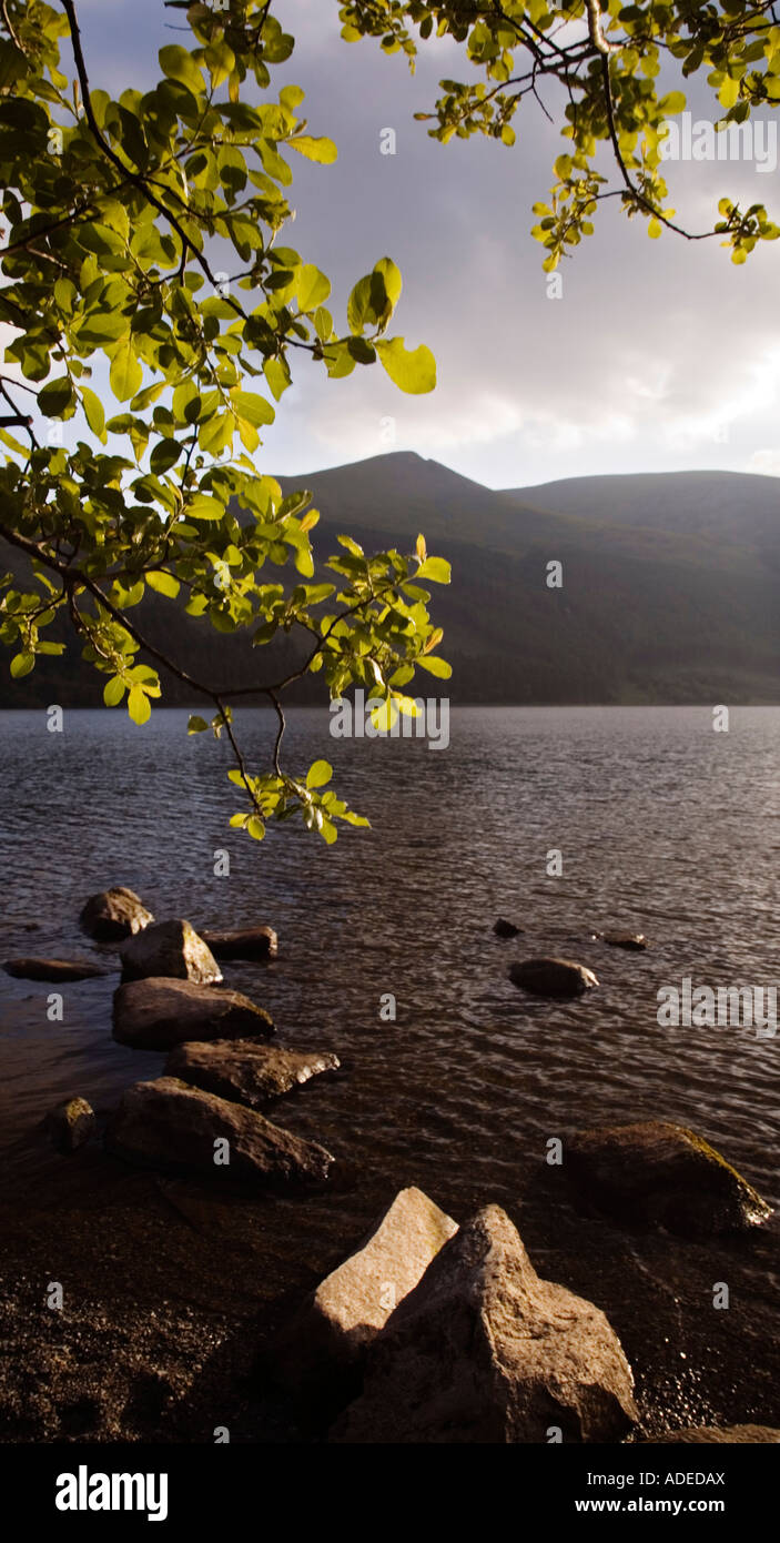 Llyn Cwellyn Snowdonia National Park North Wales Stock Photo - Alamy