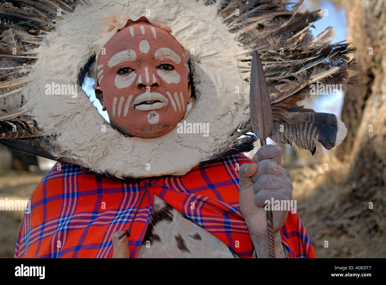 Traditional Kikuyu dancer with spear and headdress made of ostrich ...