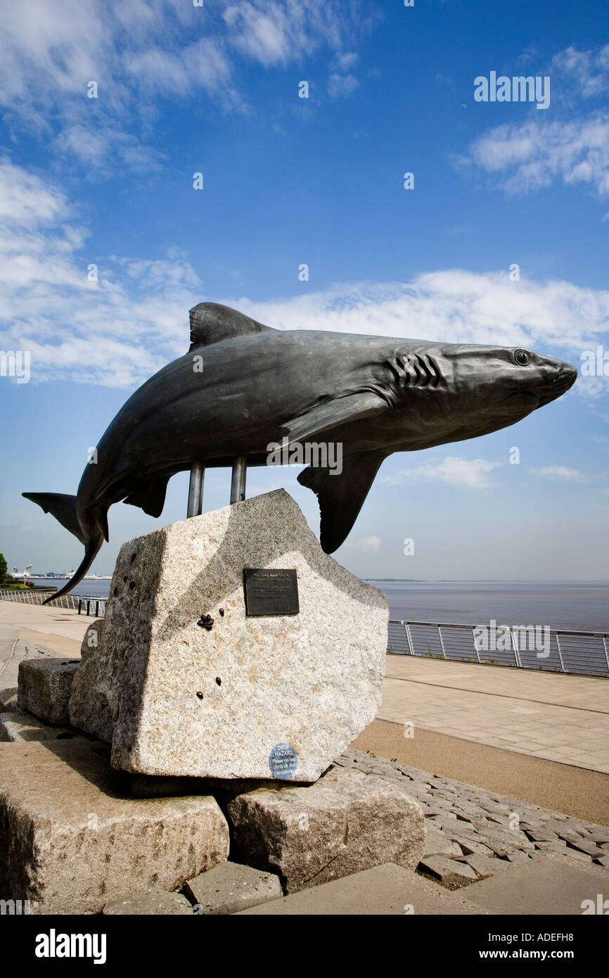 Grey Reef Shark Statue at The Deep in Hull East Yorkshire England Stock ...