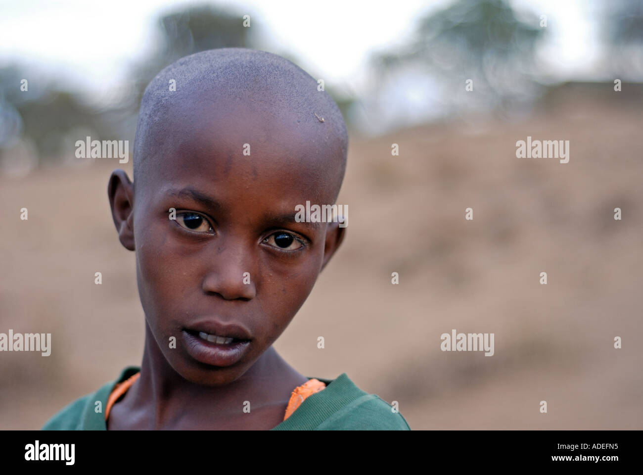 Portrait of Maasai boy Kenya Stock Photo - Alamy