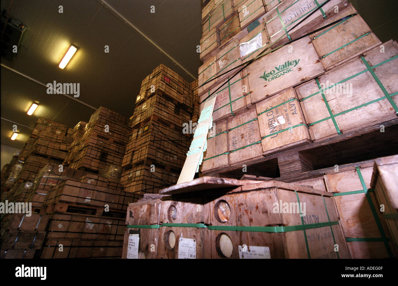 Meat factory farming uk hi-res stock photography and images - Alamy