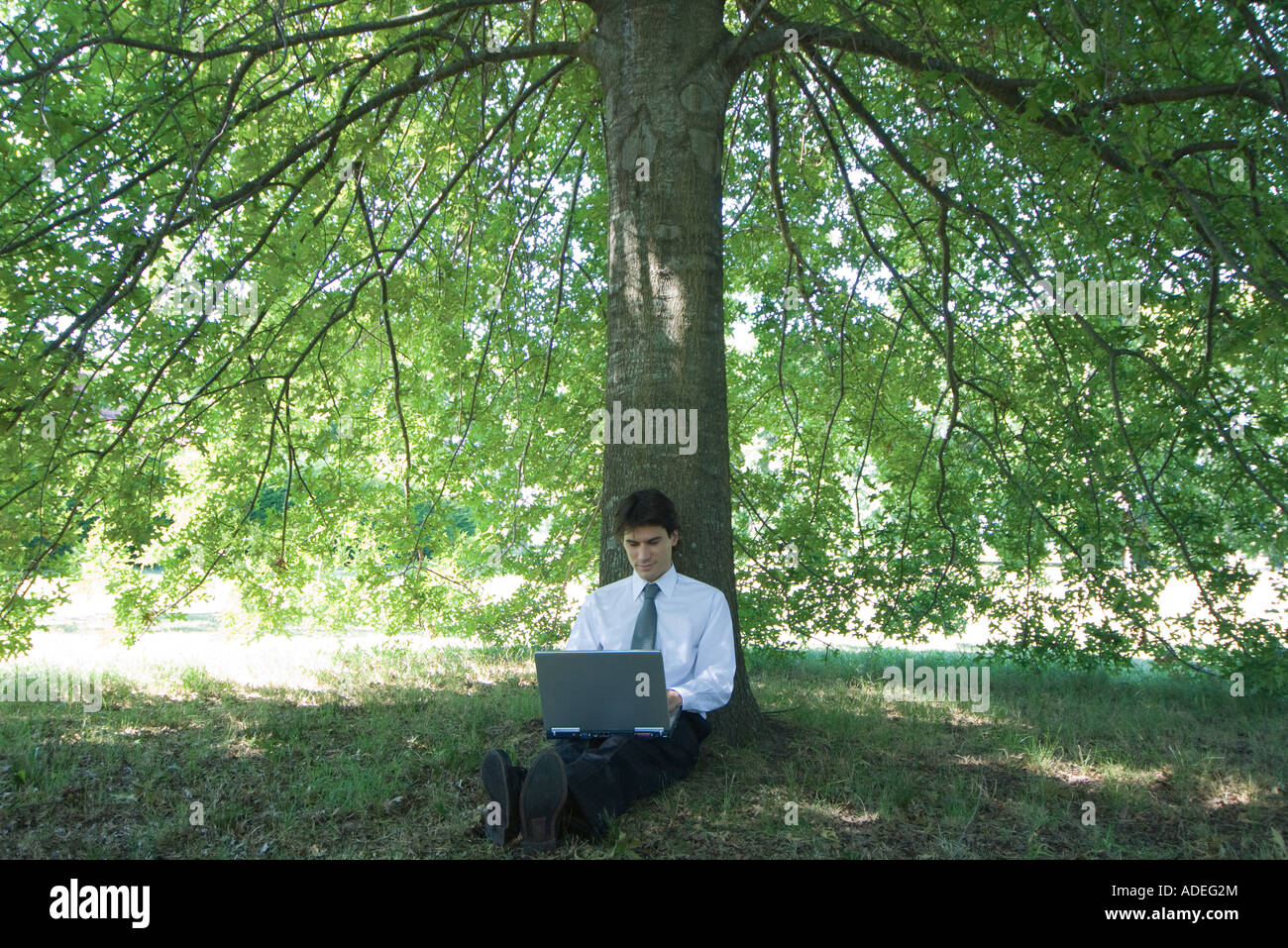 Man Sitting Under Shade Tree High Resolution Stock Photography and ...