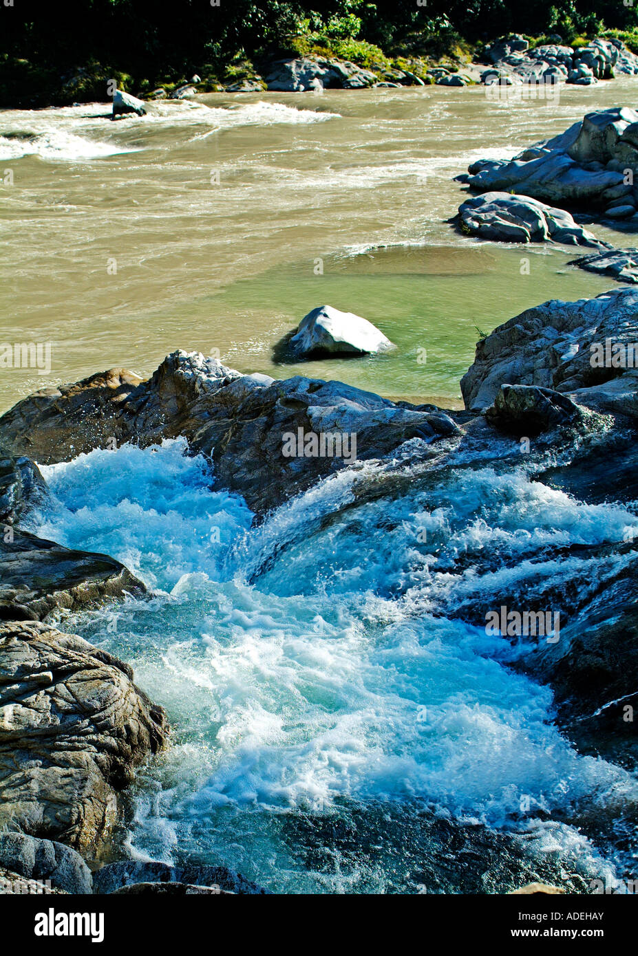 Rainforest tena hi-res stock photography and images - Alamy