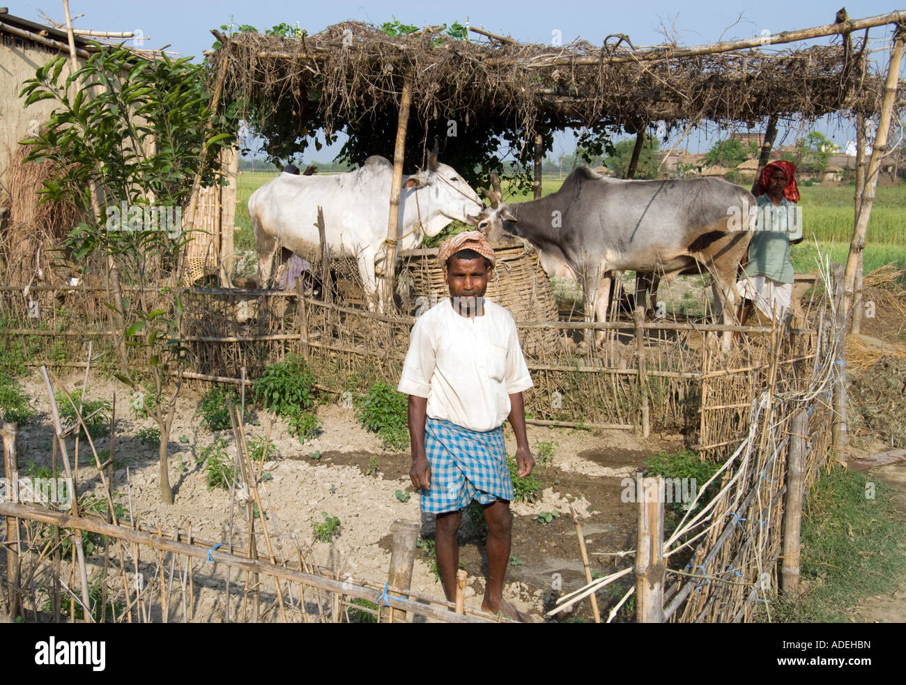 Most farms in Bihar are small and limited to about 10 acres of farm ...