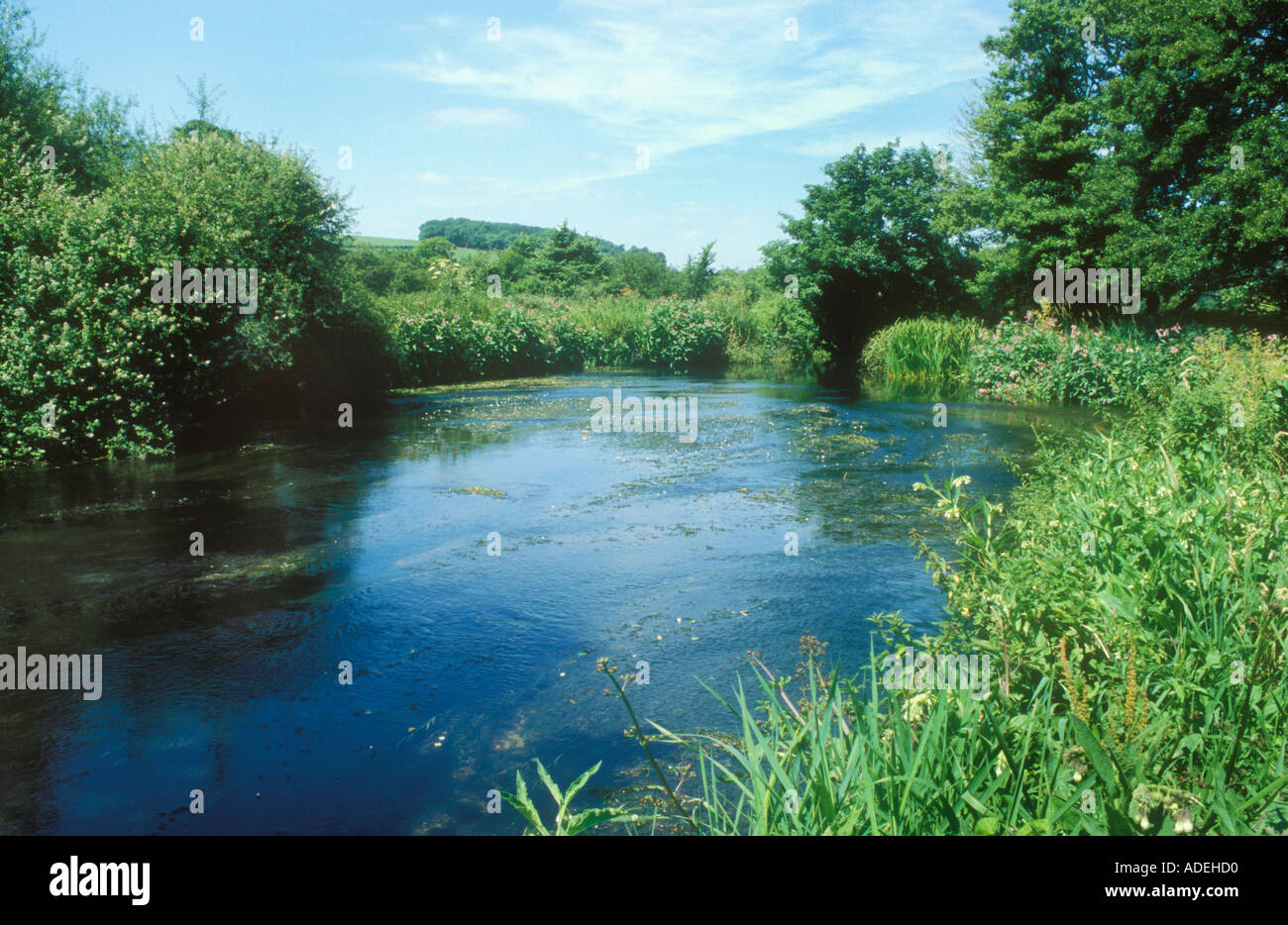 River frome fishing hi-res stock photography and images - Alamy