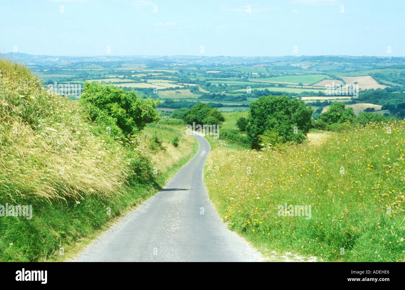 Narrow single track road leading down from Eggardon Hill Dorset Stock ...