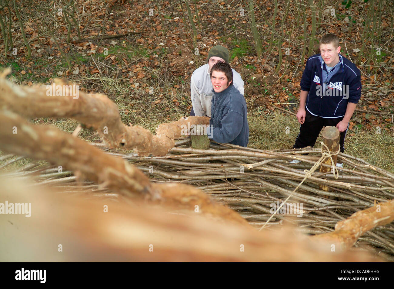Hazel poles hi-res stock photography and images - Alamy