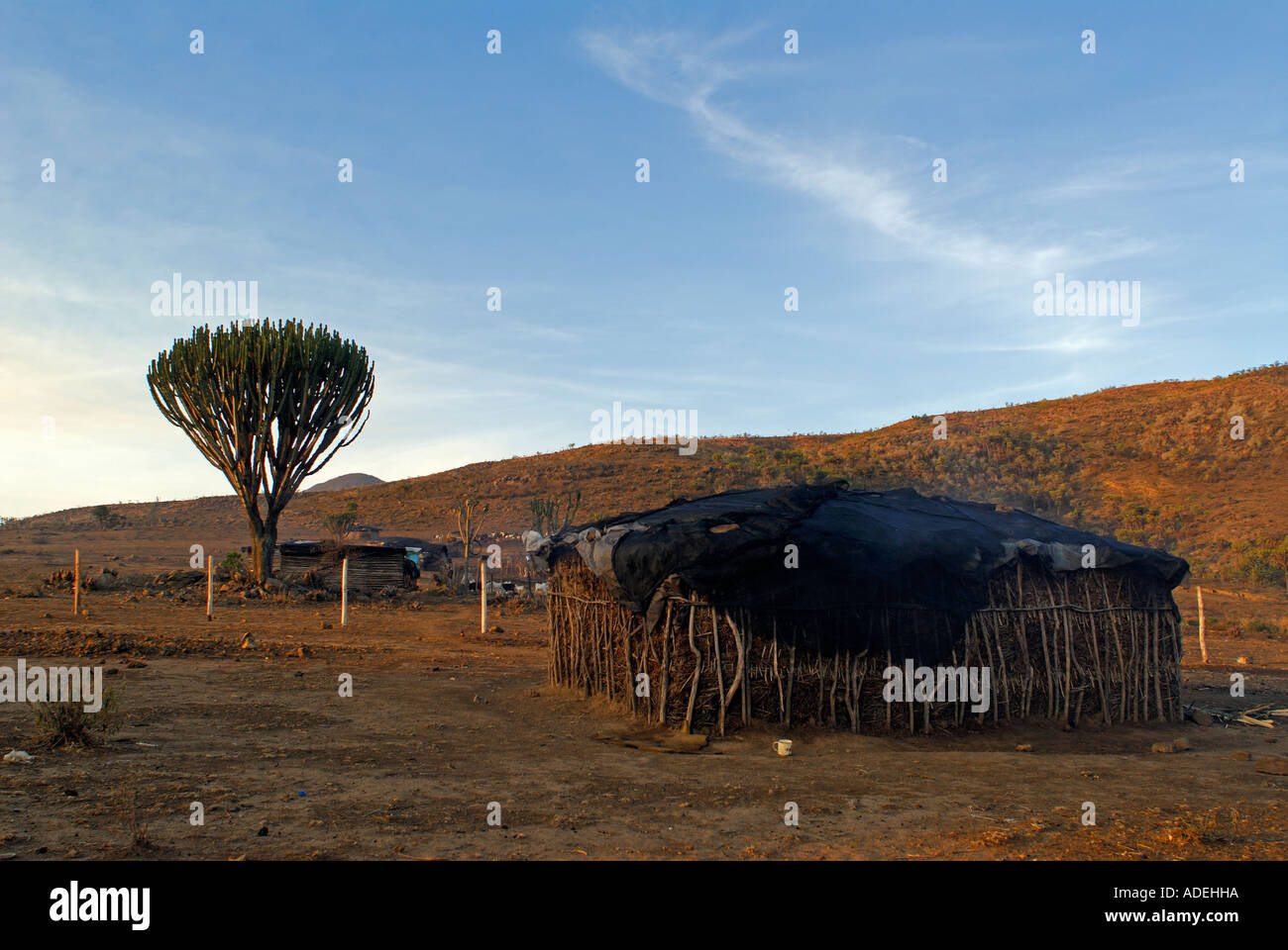 Early morning in a Maasai manyata village Kenya Stock Photo - Alamy