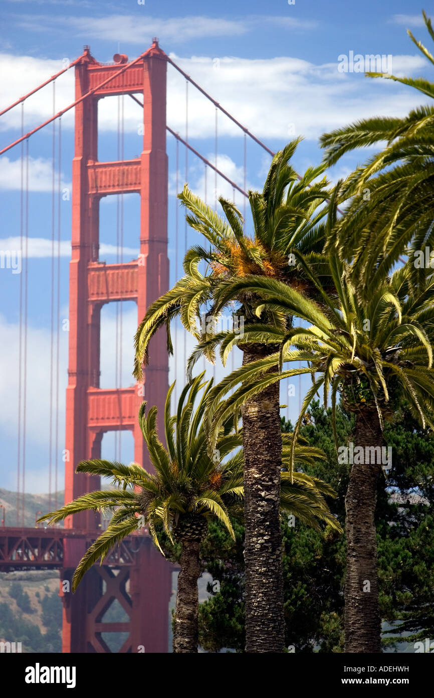 Golden Gate Bridge with Palm trees Stock Photo - Alamy