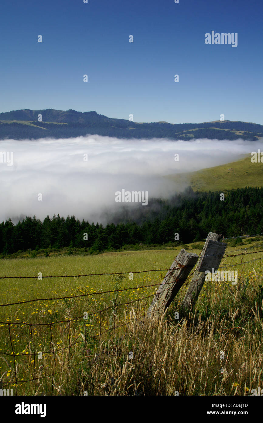 fog in coastal northern california valley Stock Photo - Alamy