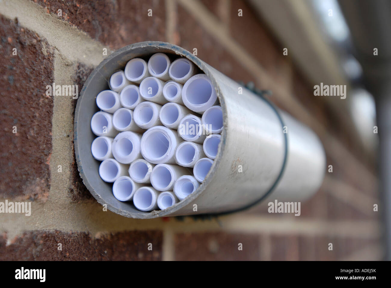 Masonry bee hi-res stock photography and images - Alamy