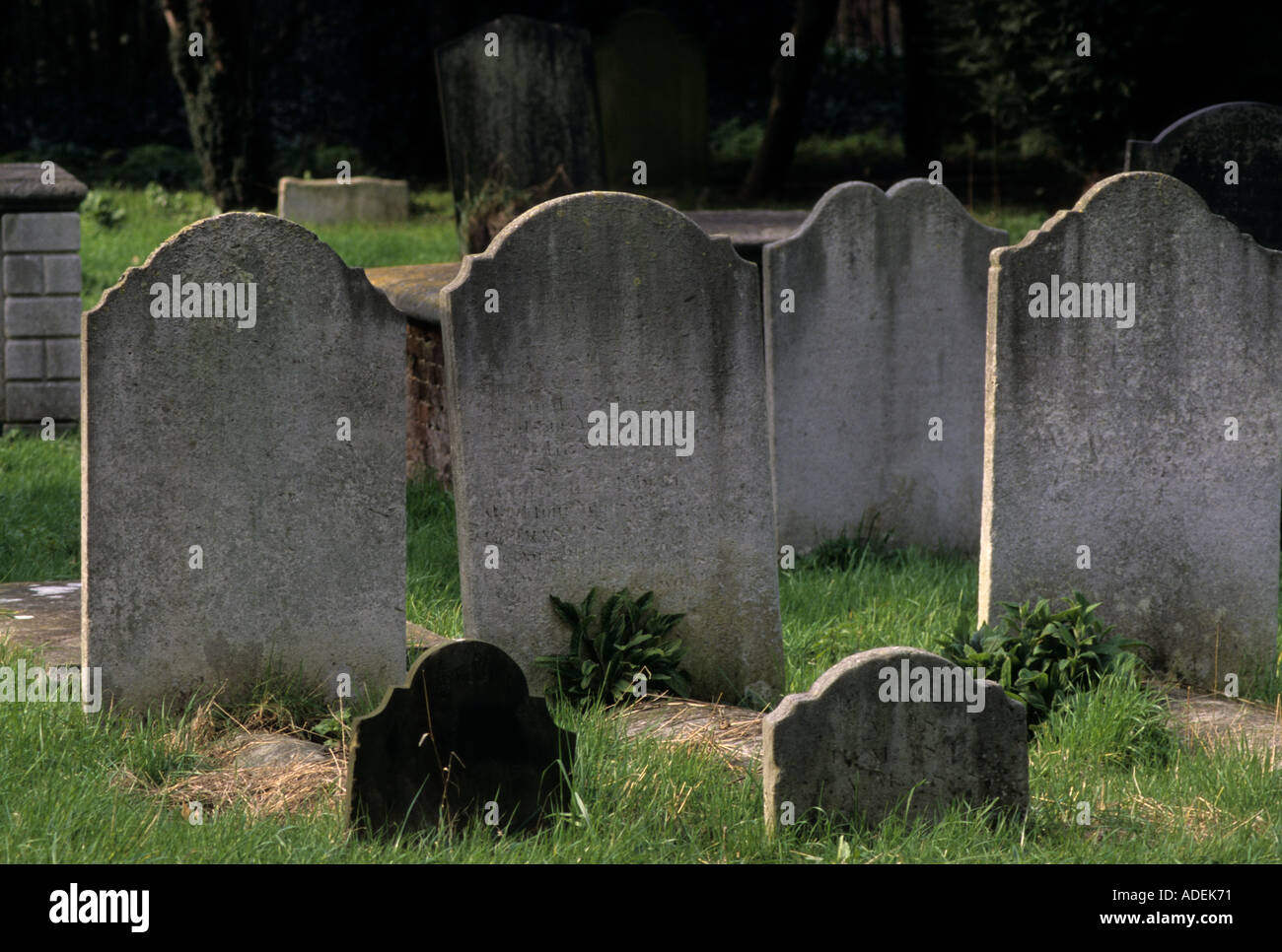 tombstones in the Highgate cemetery London England UK Stock Photo - Alamy