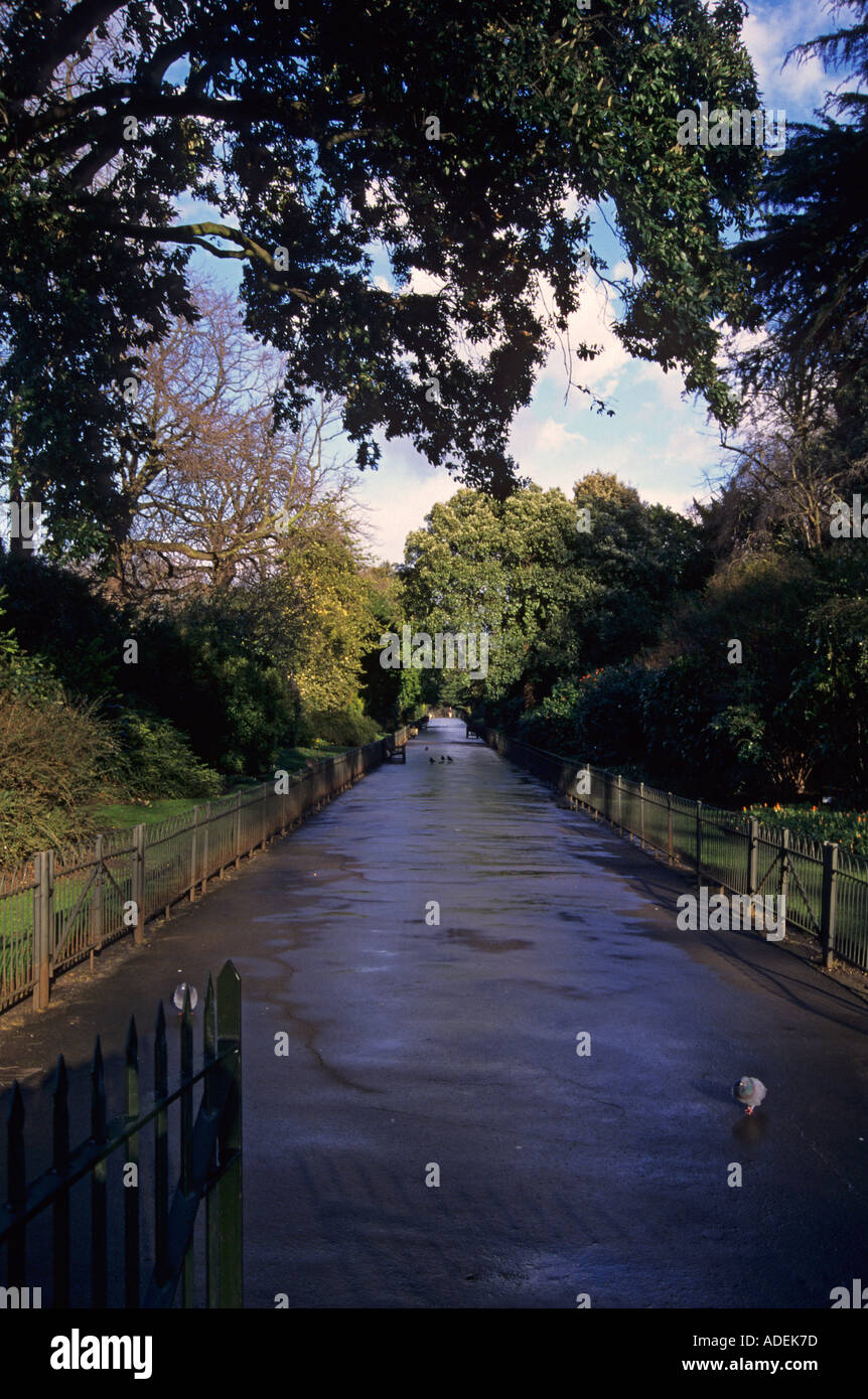 a path in Kensington Gardens London England UK Stock Photo - Alamy