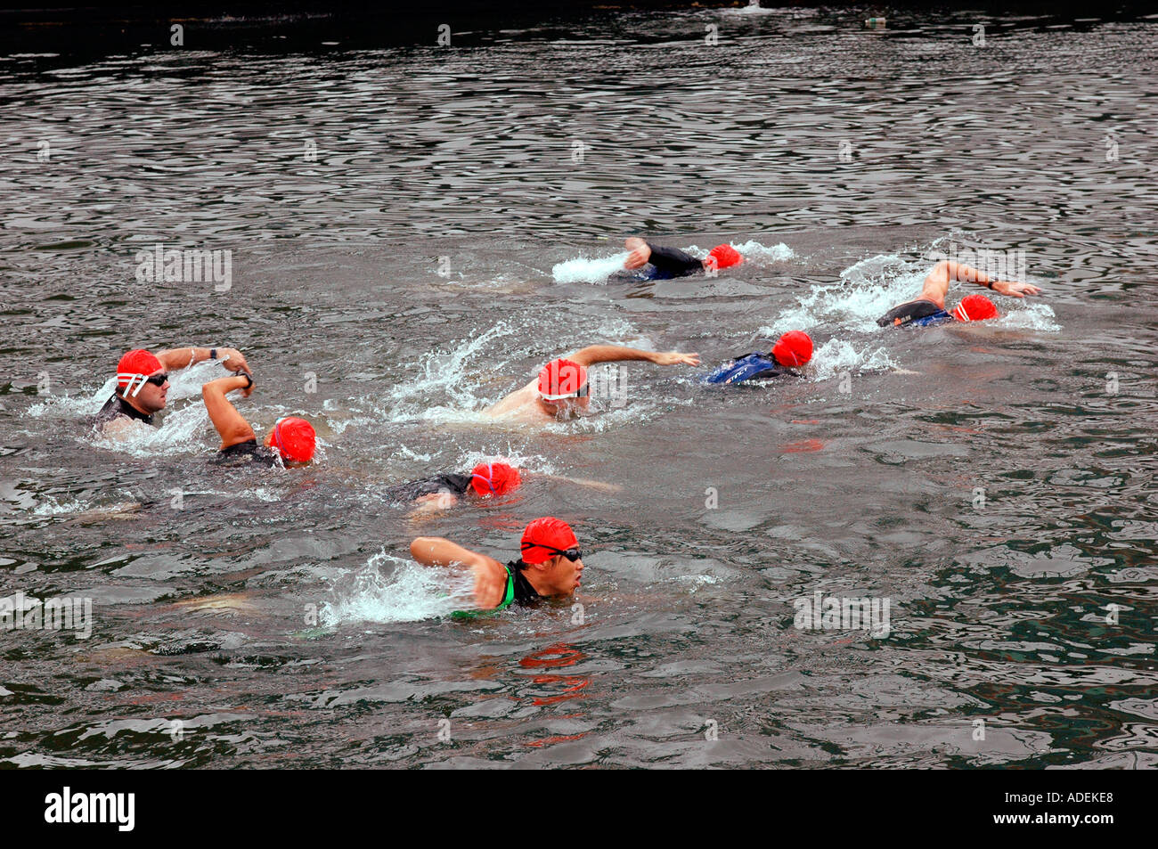 At the Race for the River swimming race competitors swim in the Hudson ...