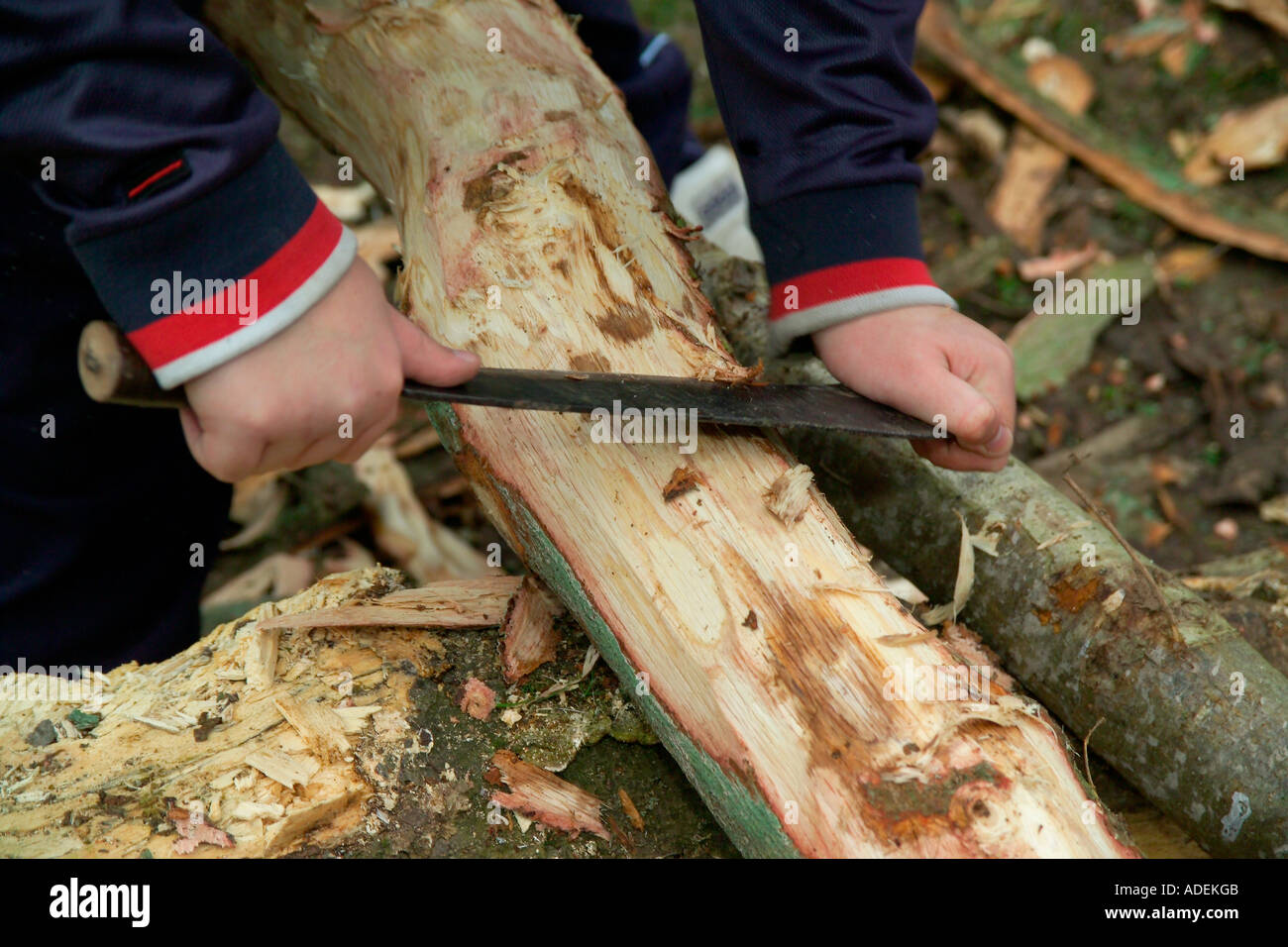 Hazel poles hi-res stock photography and images - Alamy