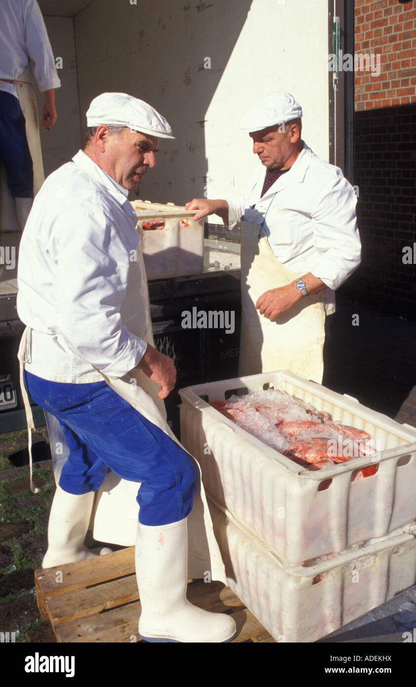 Fish dealers loading rosefish at the old fish dock in Cuxhaven North ...