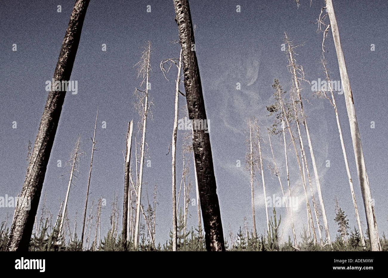 Forest fire fireman ghost Stock Photo - Alamy