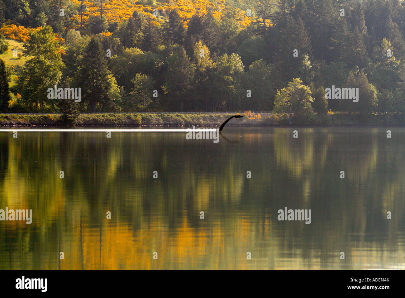 Morag lake monster hi-res stock photography and images - Alamy