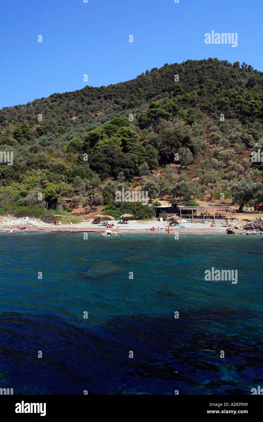 GREECE SPORADES SKIATHOS ISLAND A VIEW OF KECHRIAS BEACH Stock Photo ...