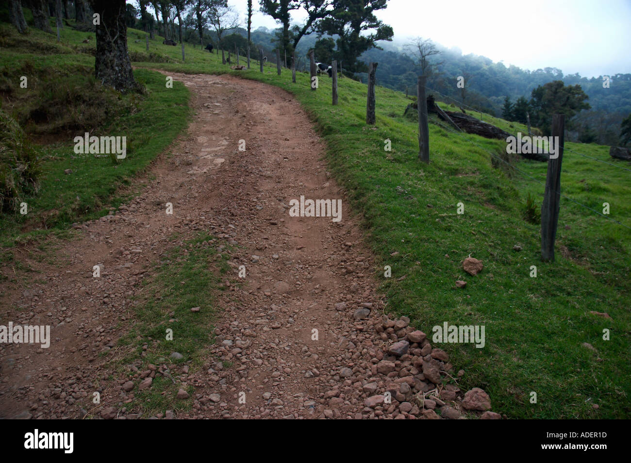 back country road Costa Rica Stock Photo - Alamy