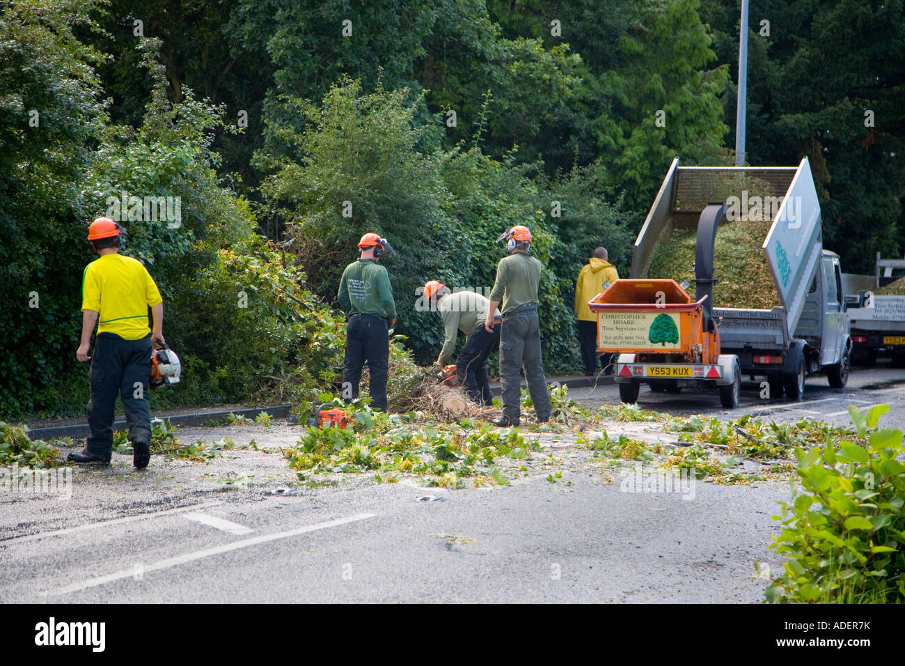 Workmen clearing up debris from fallen tree on road Stock Photo - Alamy