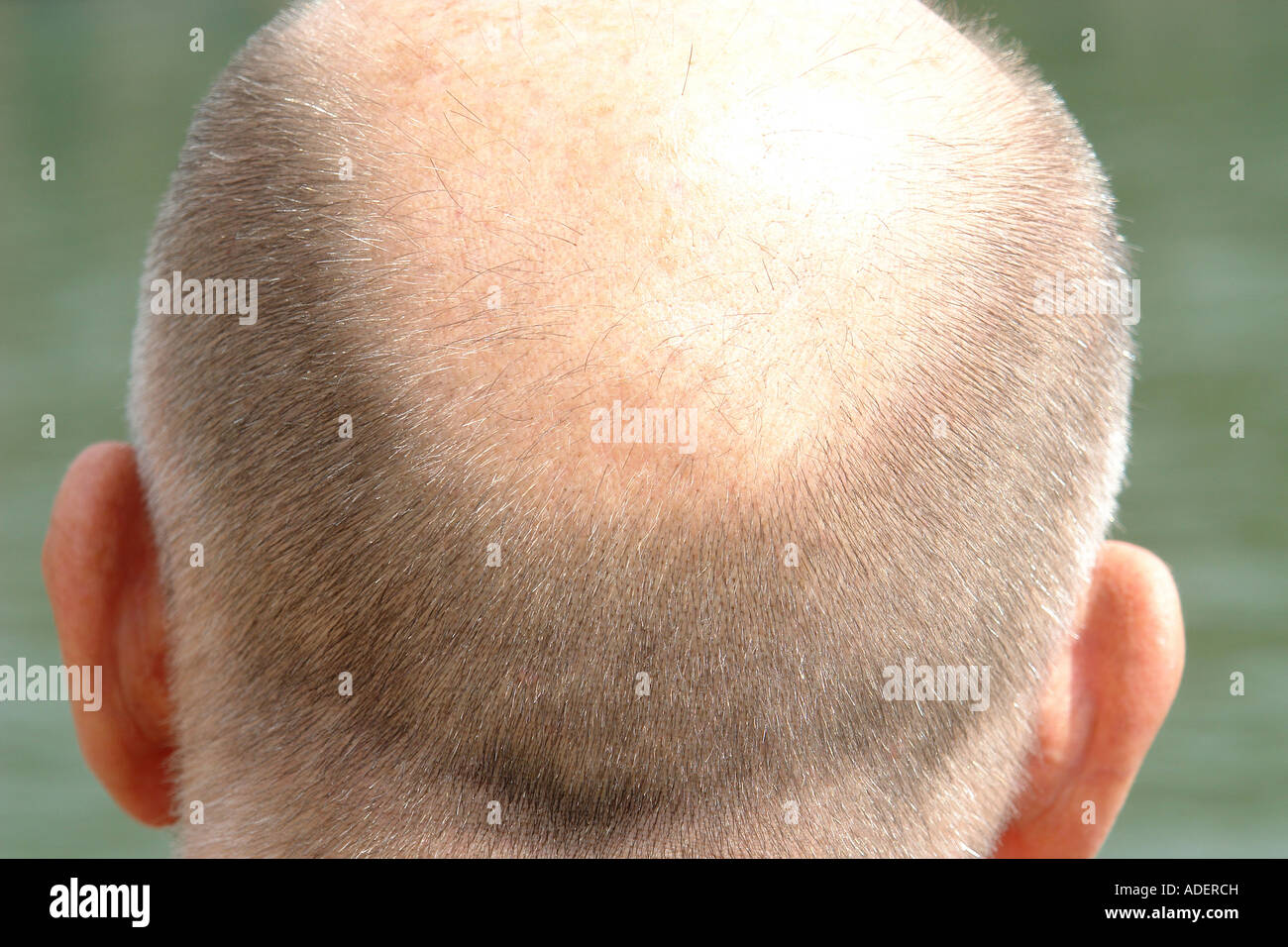 a back of a male head Stock Photo - Alamy