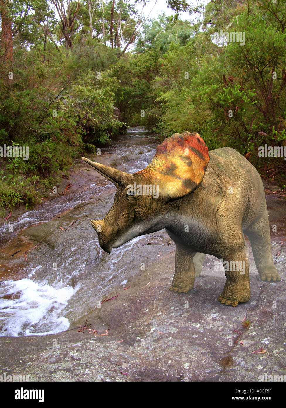 Triceratops dinosaur an extinct prehistoric reptile a ceratopsian Stock ...