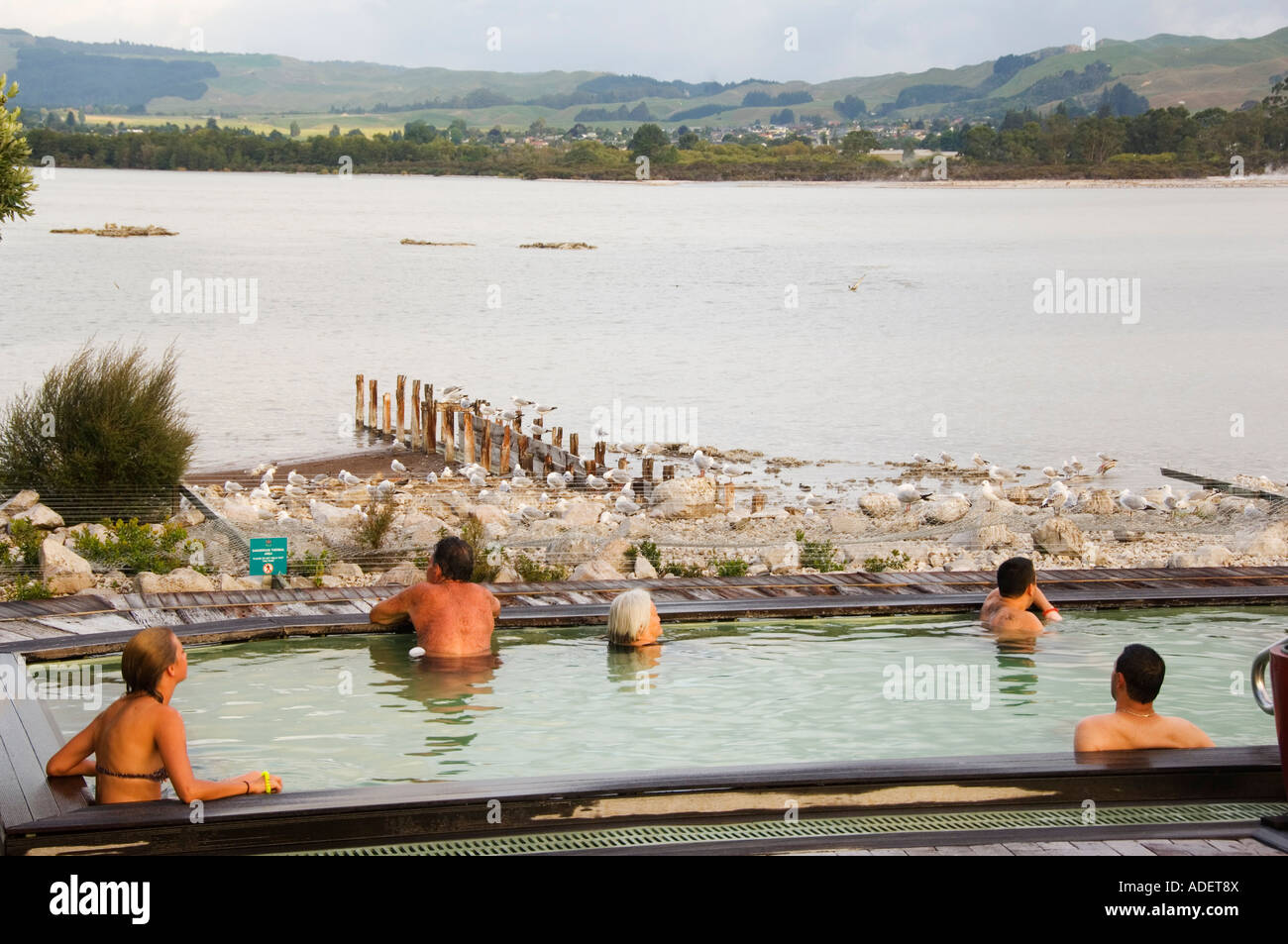 Onsen hot pool new zealand hi-res stock photography and images - Alamy