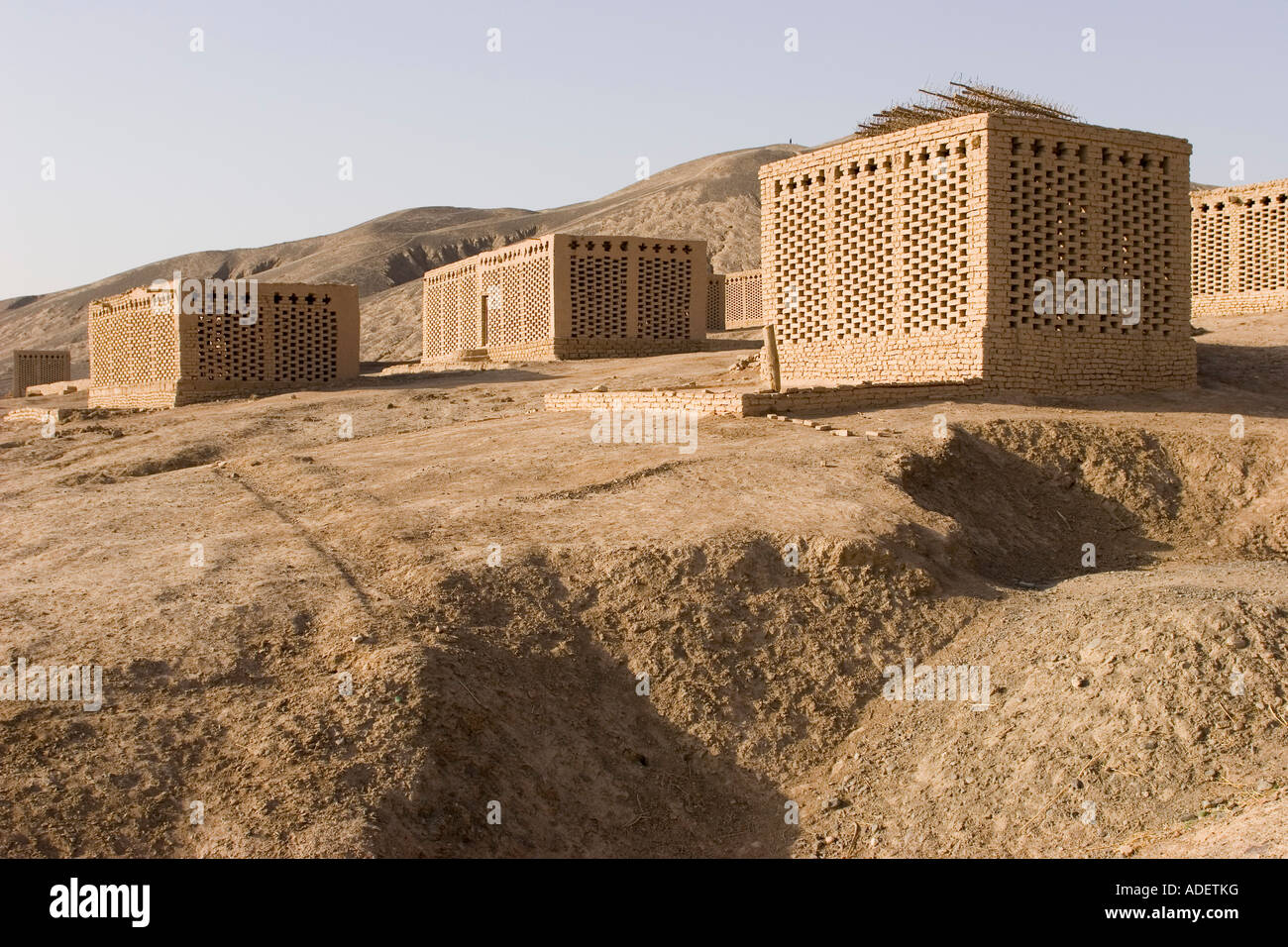 Grape drying sheds used in the production of raisins are seen on a ...