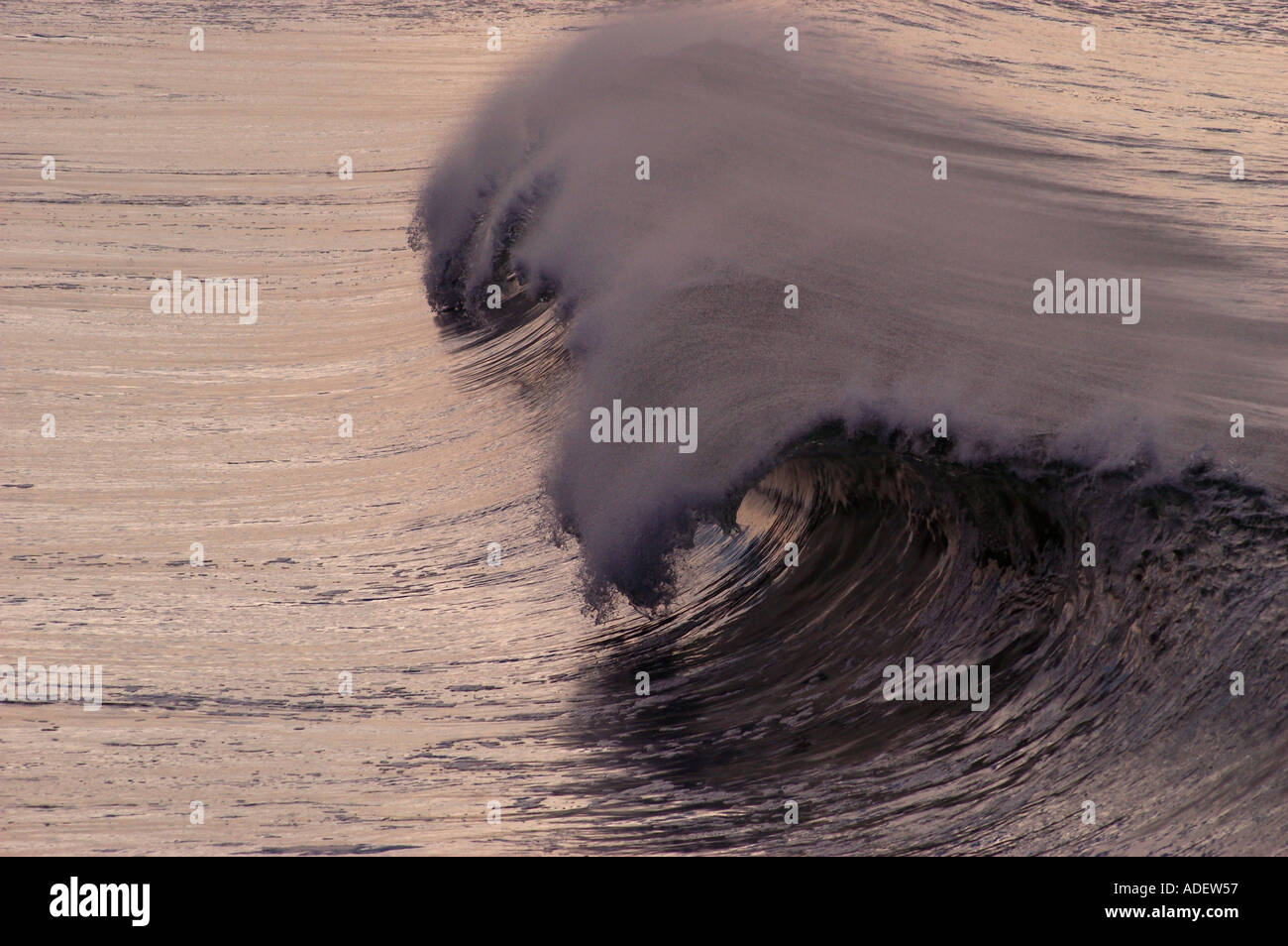 morning ocean wave Stock Photo - Alamy