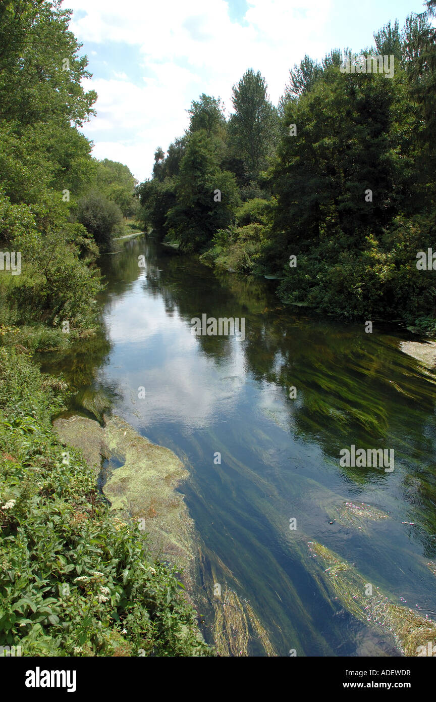 Little Ouse river at Santon Downham, Thetford Forest, Norfolk, UK Stock ...