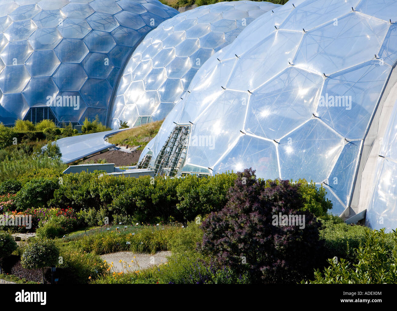 Humid Tropics Stock Photos & Humid Tropics Stock Images - Alamy