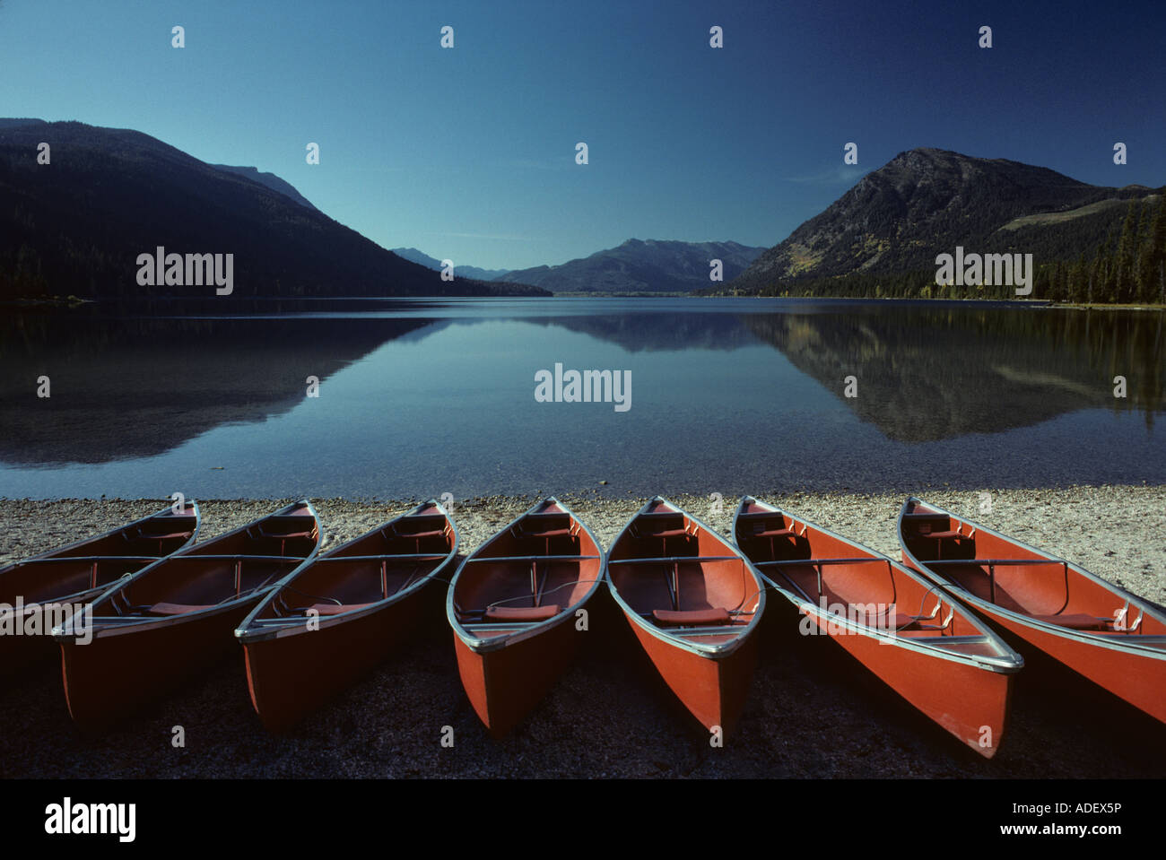 Red canoes lined up in a row along the shoreline of Lake Wenatchee ...