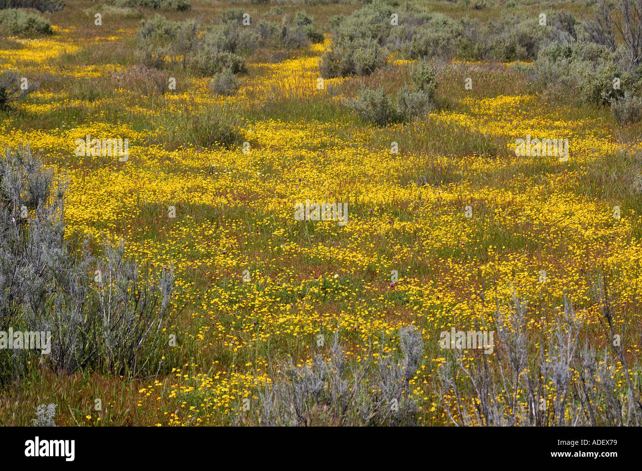Plain backgrond hi-res stock photography and images - Alamy