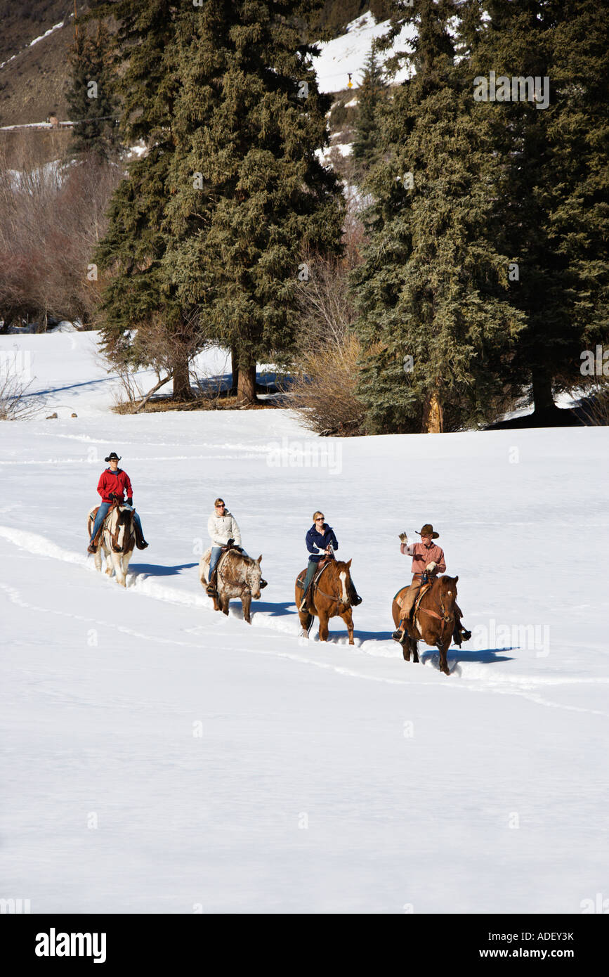 Group horseback riding in snow covered landscape in Colorado USA Stock ...