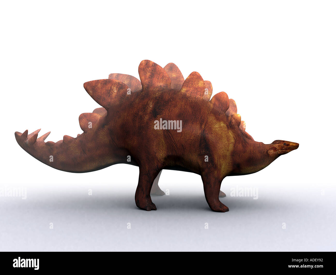prehistoric Stegosaurus an extinct species of dinosaur 3d computer ... prehistoric Stegosaurus an extinct species of dinosaur 3d computer ...