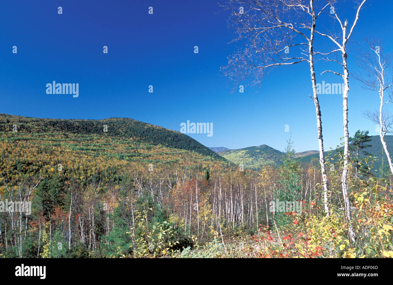 These mountains and ridges are the tail end of the Appalachian ...