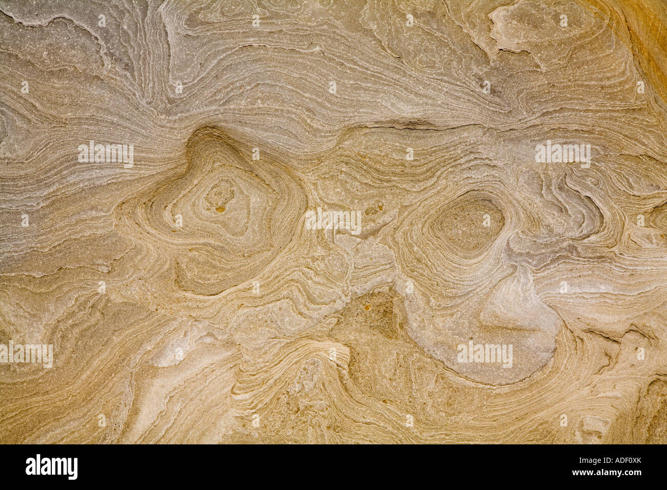 Interesting patterns in rocks on the seashore Stock Photo - Alamy