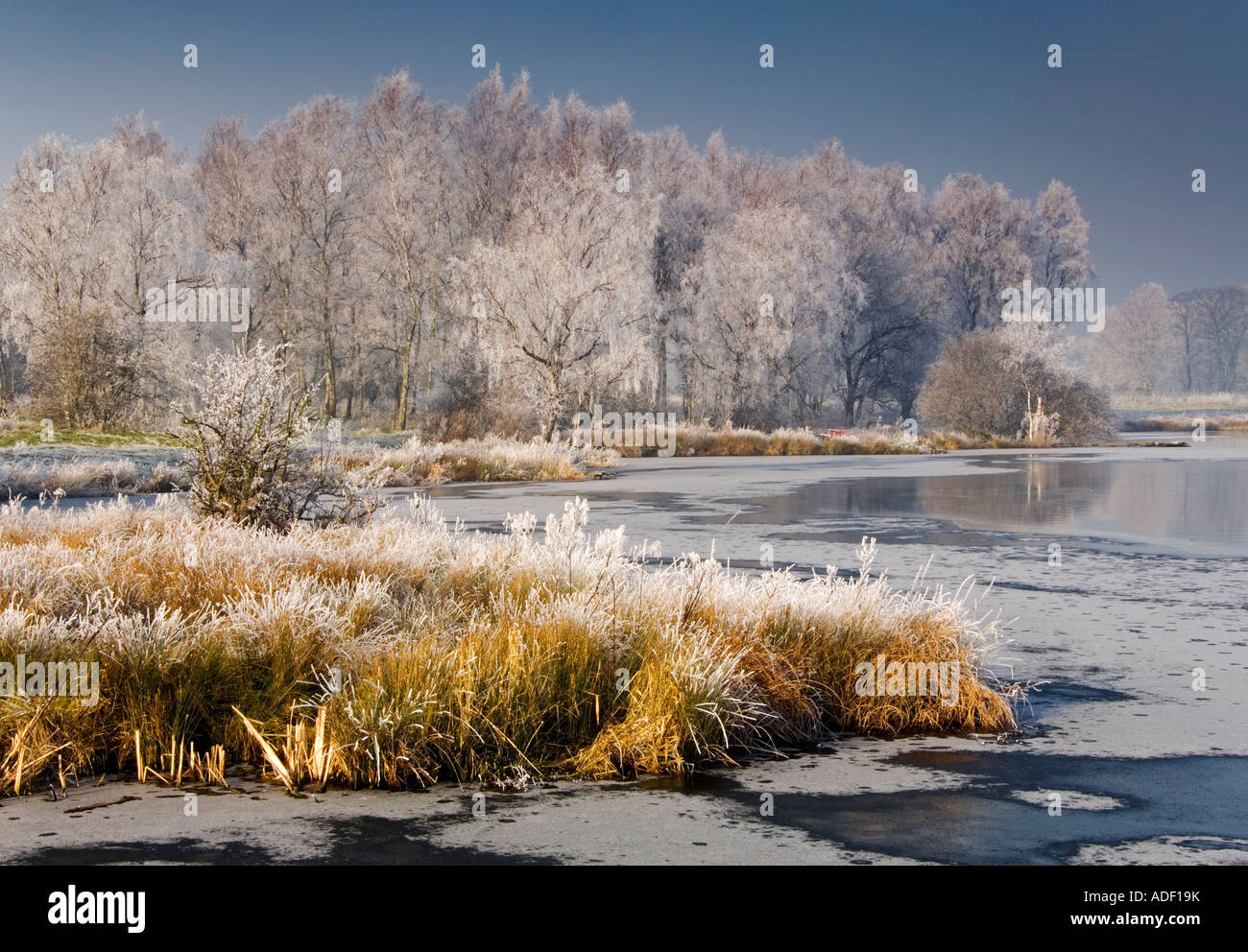 Marston Flash in Winter, Near Northwich, Cheshire, England, UK Stock ...