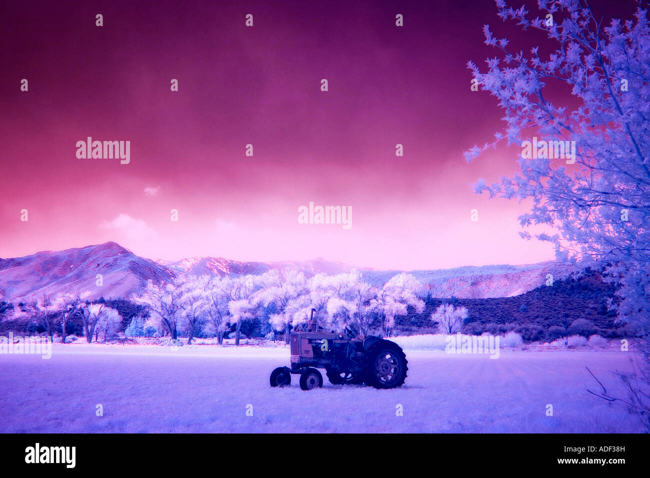 Landscape with Tractor, two-color Infrared Stock Photo - Alamy