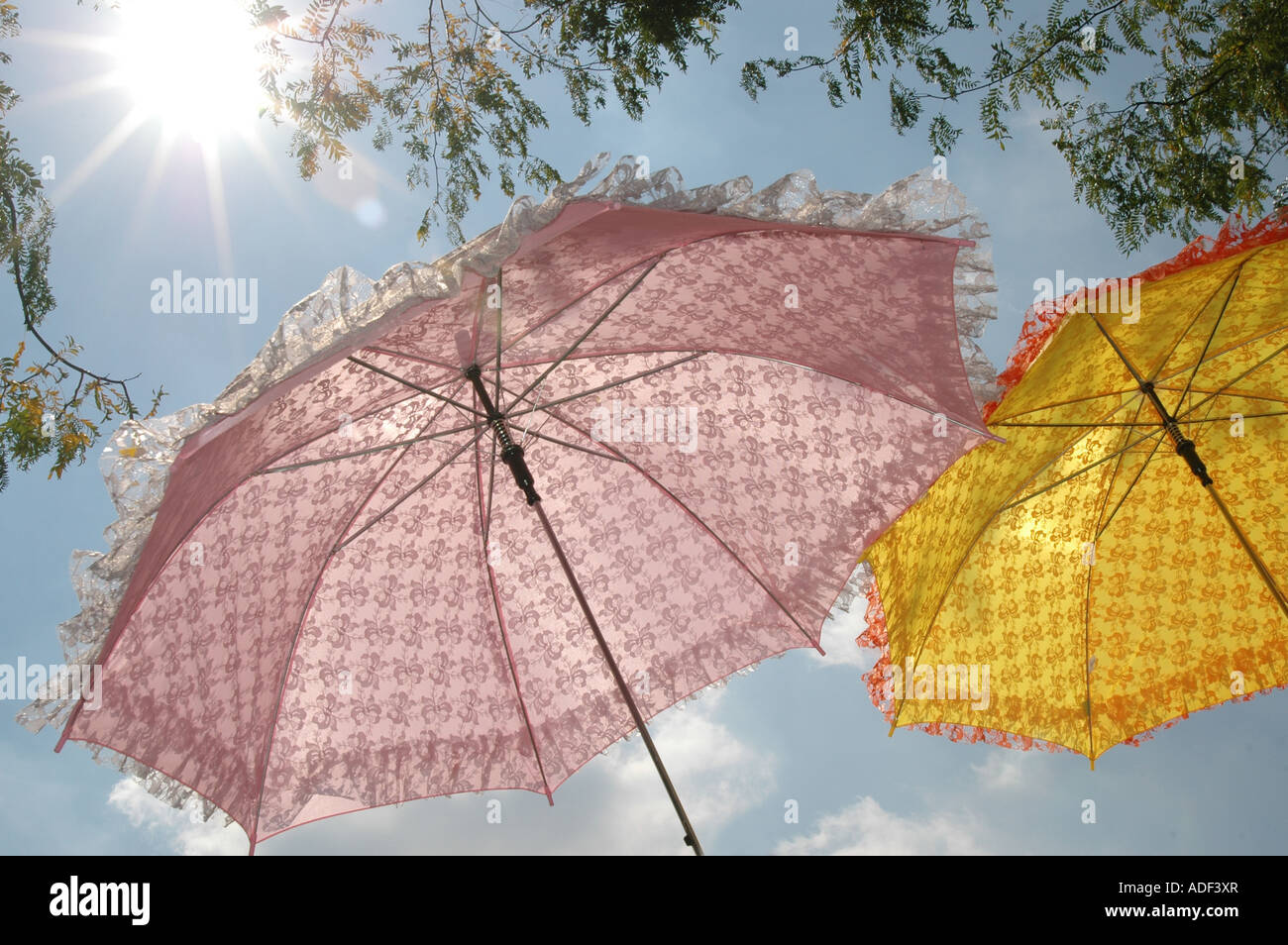 frilly yellow and pink parasols against blue skies with direct sunlight ...
