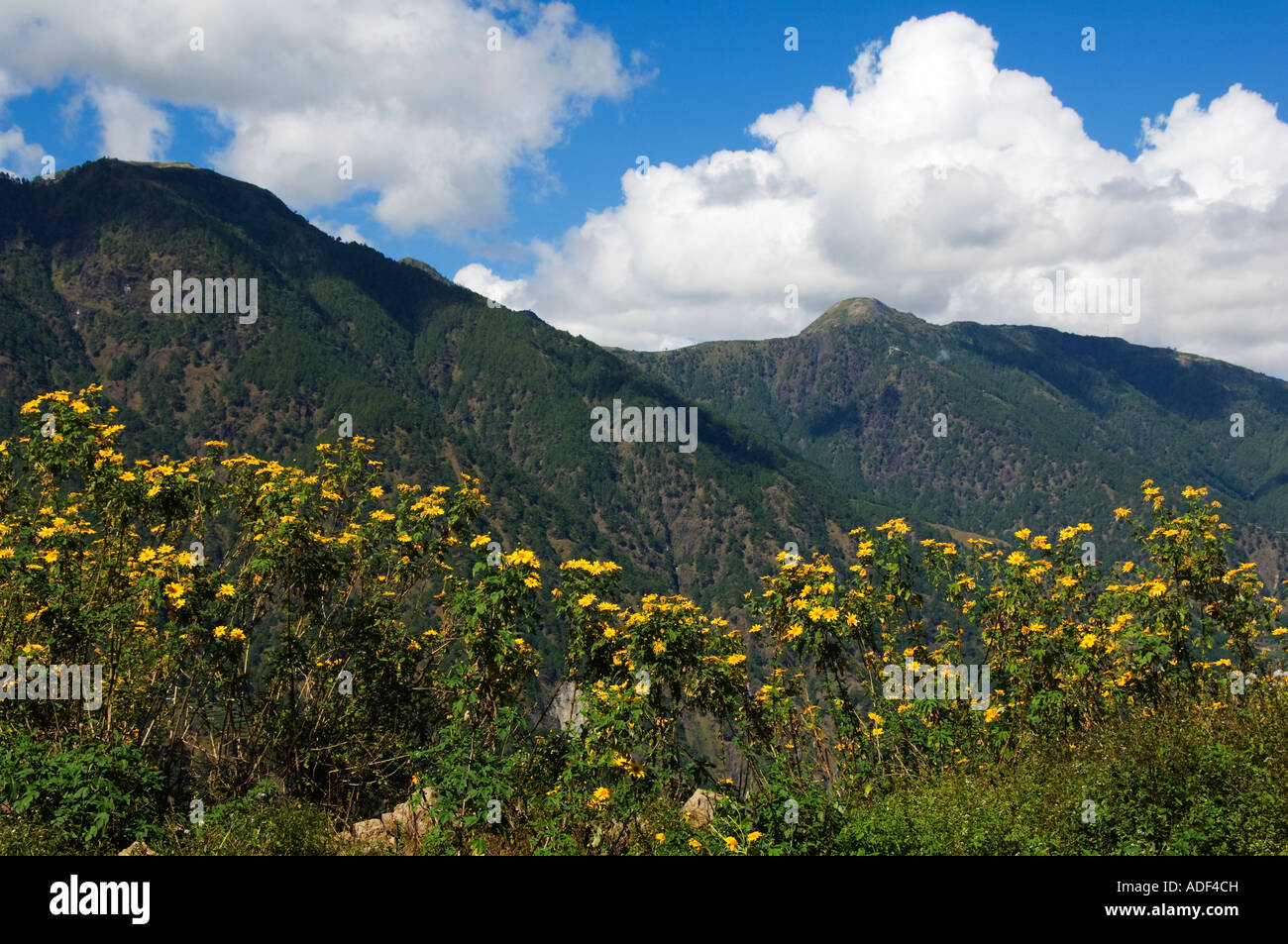 Philippines Luzon Island The Cordillera Mountains Benguet Province ...