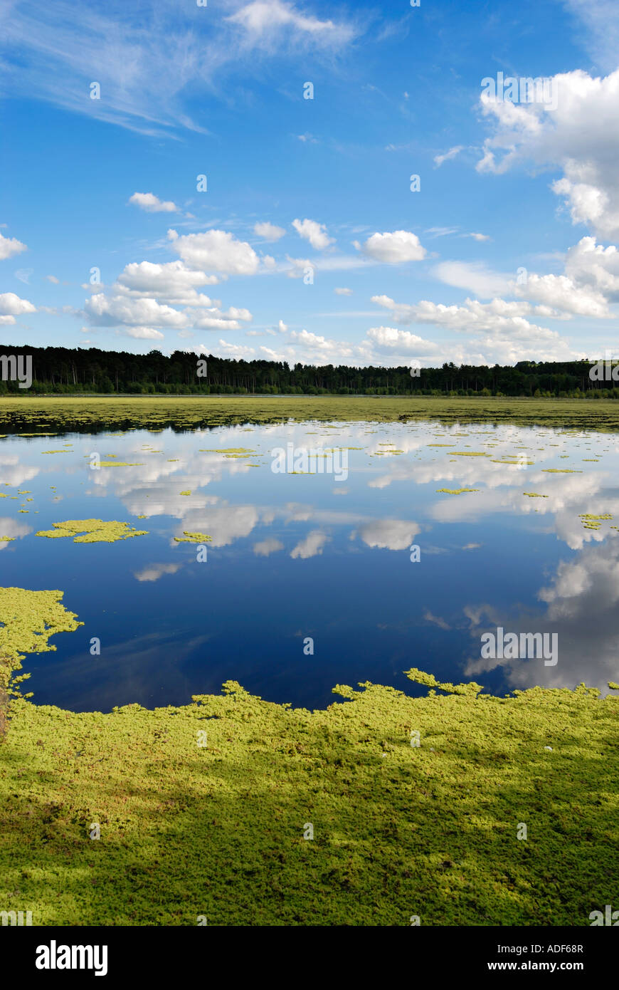 Blakemere hi-res stock photography and images - Alamy